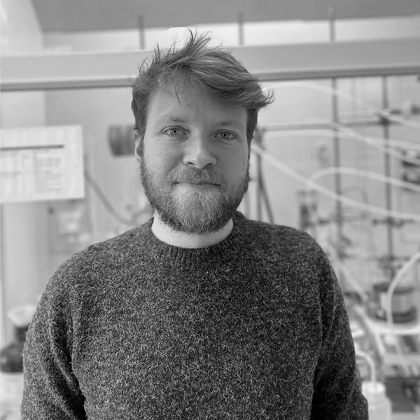 Alejandro Gran Scheuch | BiocatCodeExpander